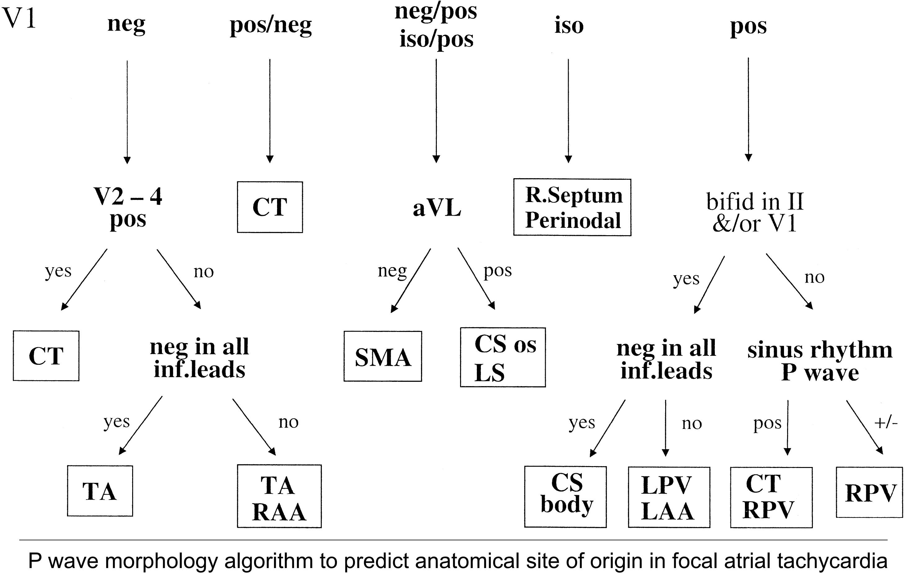Ablation of AFL/AT: Main Page